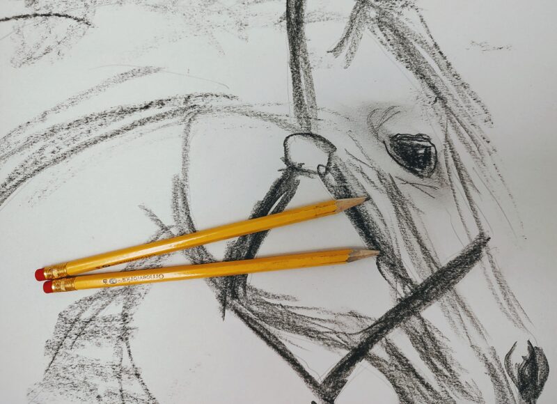Drawing Made Easy with Larry Charles - The Holland Center