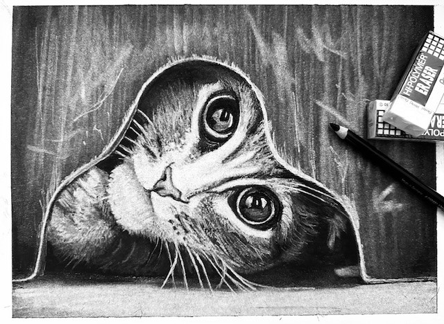 Easy Charcoal Pencil Drawing