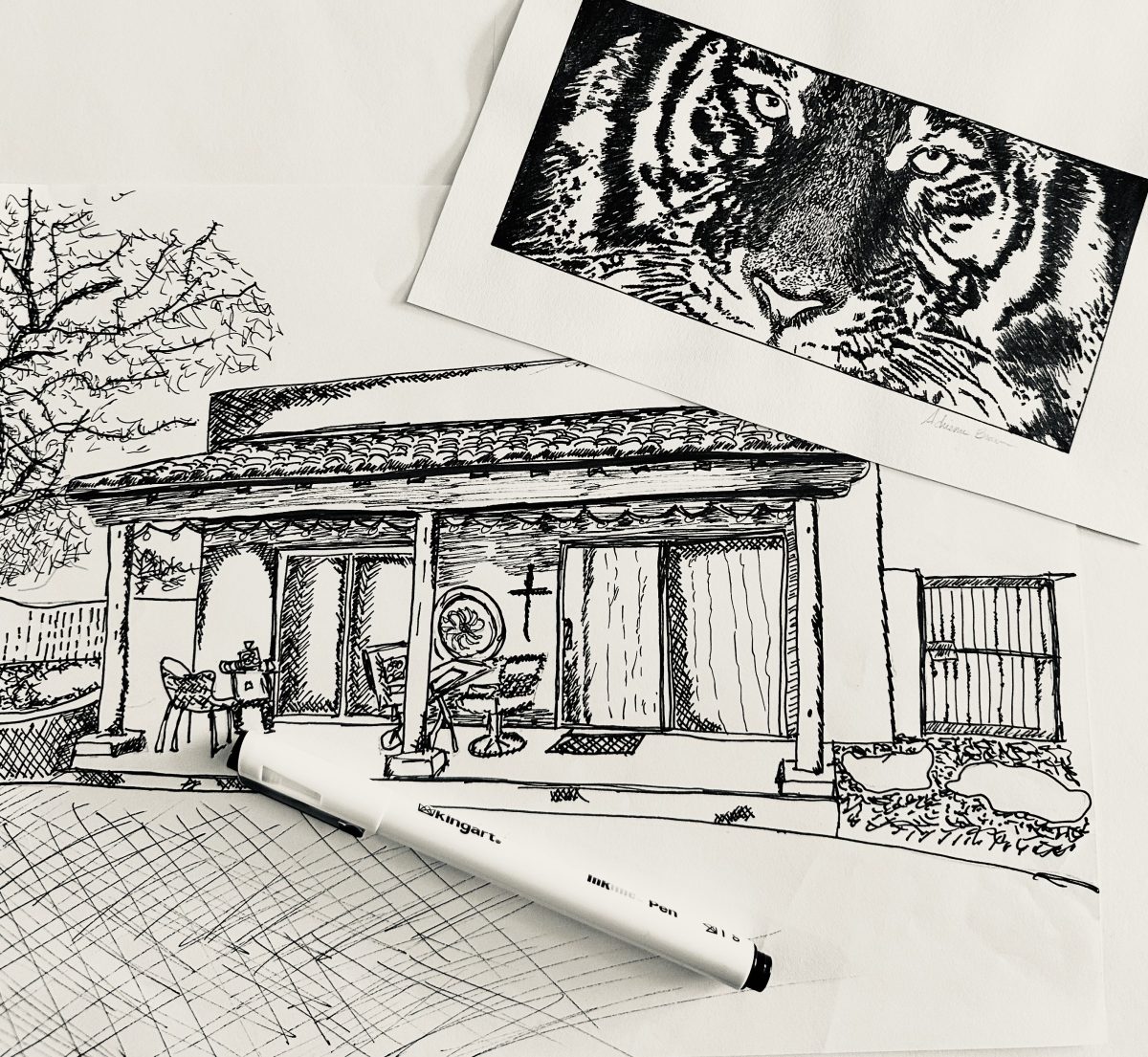 Pen & Ink Sketching for Beginners - The Holland Center